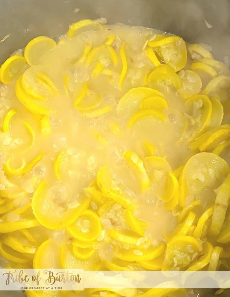 Southern Stewed Squash - TRIBE OF BURTON